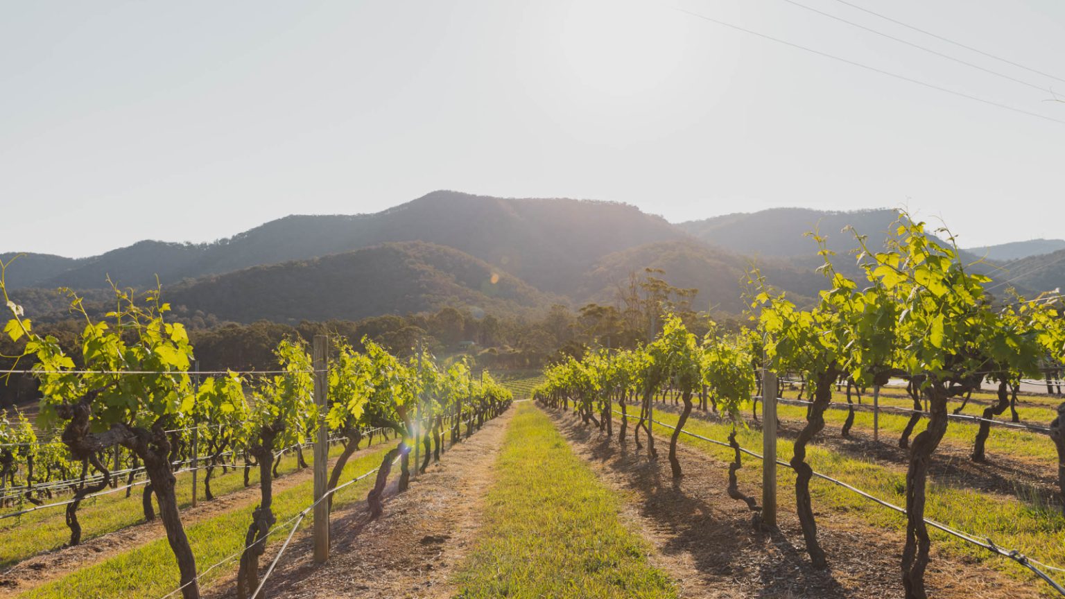 Location - Tenison Heights Lochinvar